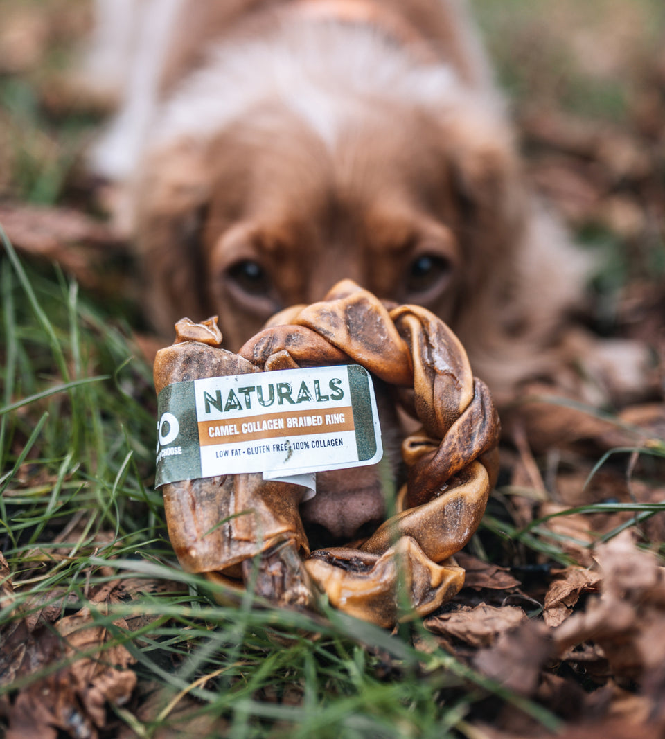 Camel Collagen Braided Ring – Natural Choice Pet Foods